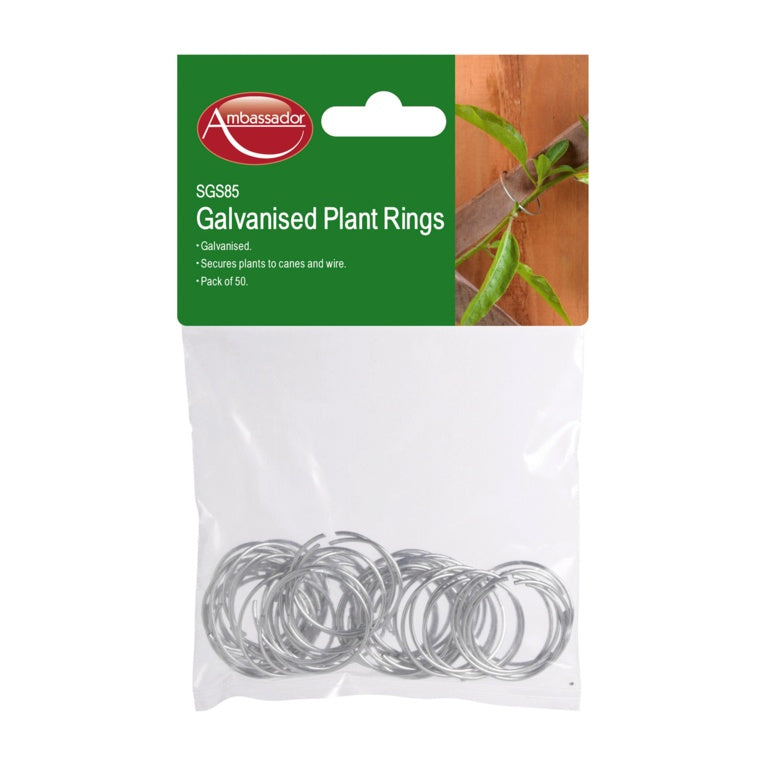 Ambassador Galvanised Plant Rings – Batley DIY